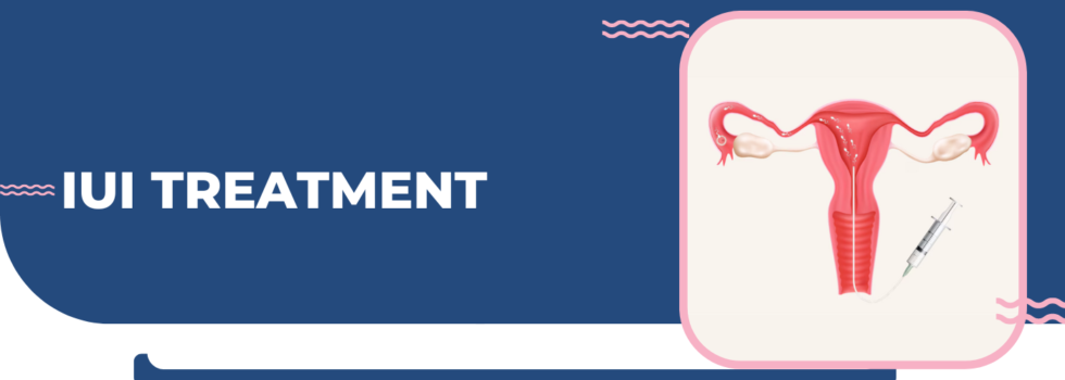 IUI Treatment in Andheri, Mumbai - View Cost | Dr. Shweta Shah